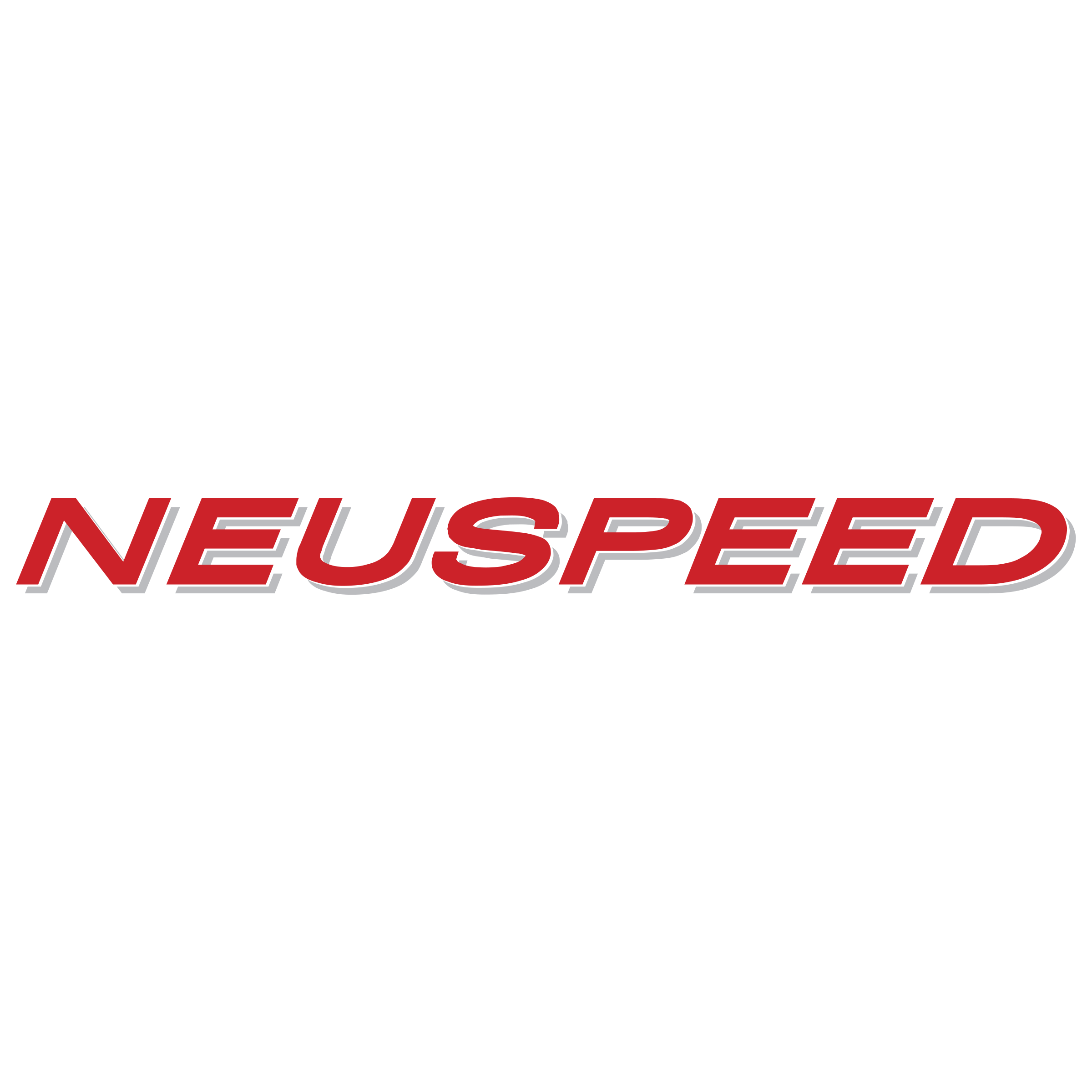Neuspeed Wheels – Rims Theory